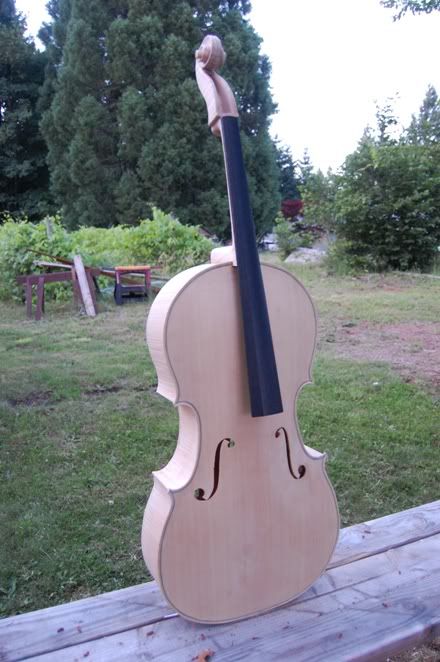 1st Cello Build; (Modelled after the 1712 "Davidov" Strad) - Page 7 ...