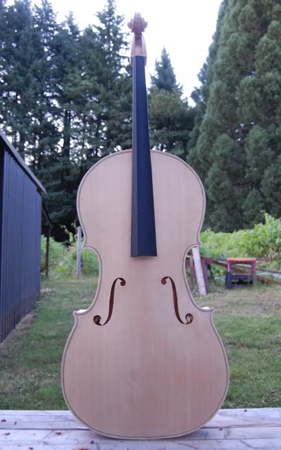 1st Cello Build; (Modelled after the 1712 "Davidov" Strad) - Page 7 ...