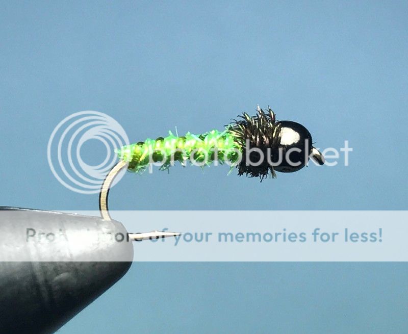 Green Rock Worm - Fly Tying - Maine Fly Fish