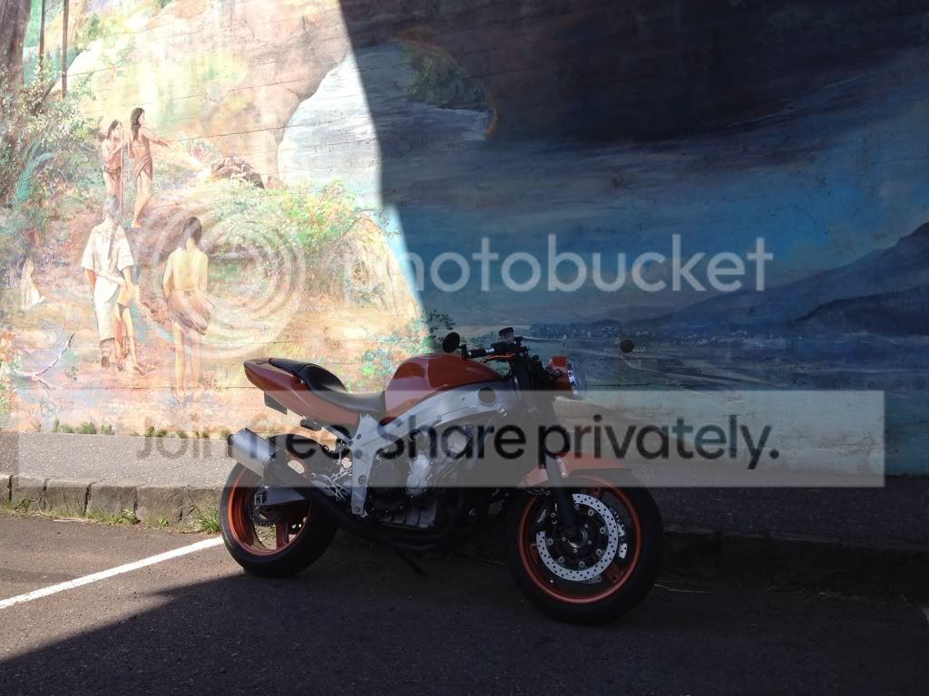 Triumph TT600 | Custom Fighters - Custom Streetfighter Motorcycle Forum