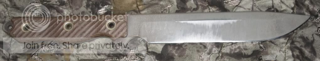 TM-DSF Thoughts / Comparison | BladeForums.com