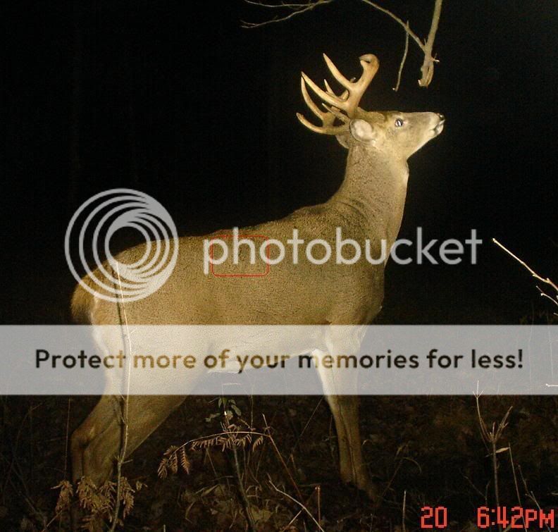 Show me proof of "NO KILL" zone | Archery Talk Forum