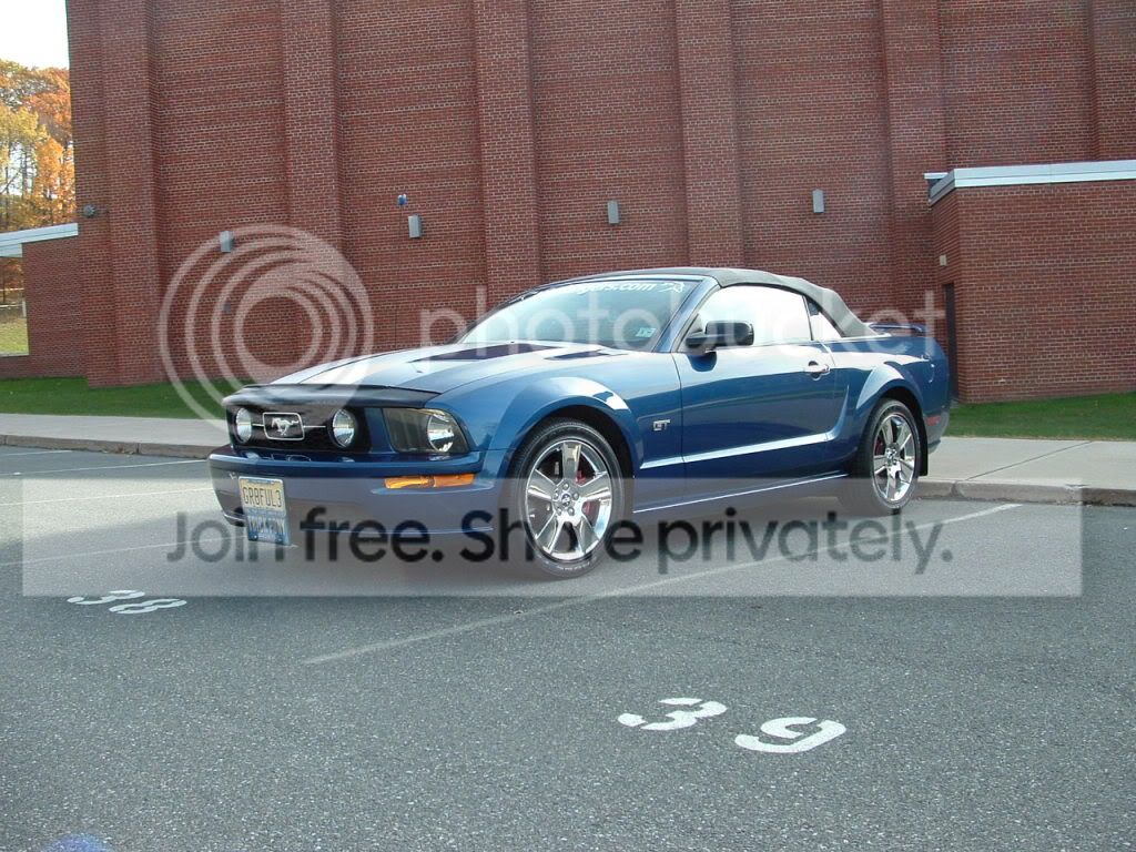 Calipers Painted | Ford Mustang Forum