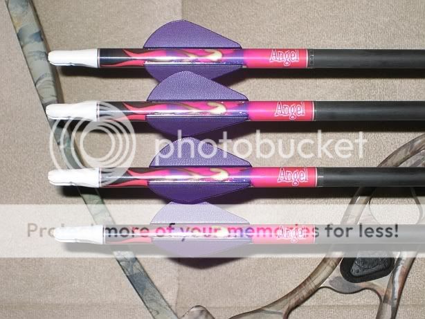 Let's see your fletching/wrap color combos. | Archery Talk Forum