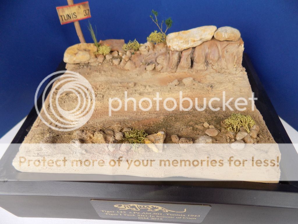 Reveal-Tiger 142 Tunisia 1943. " 37km to Tunis " - International Scale ...