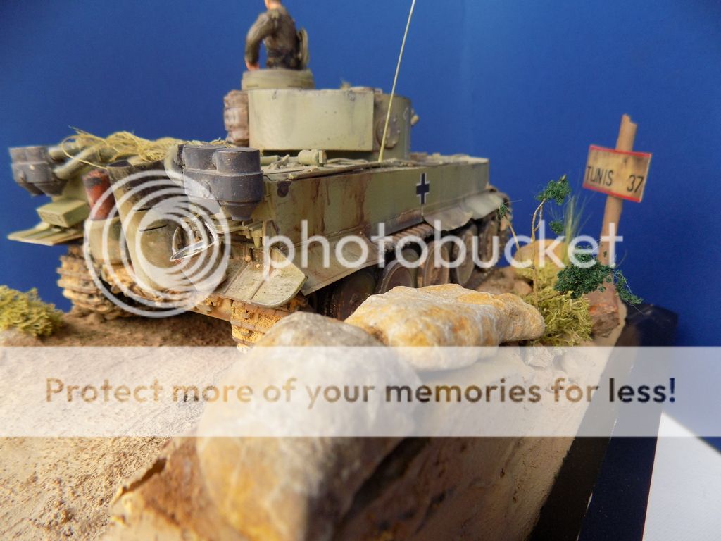 Reveal-Tiger 142 Tunisia 1943. " 37km to Tunis " - International Scale ...